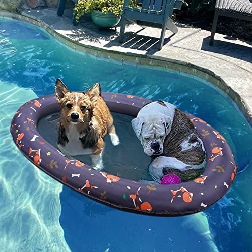 10 Best Dog Pool Floats - BabyStuffLab