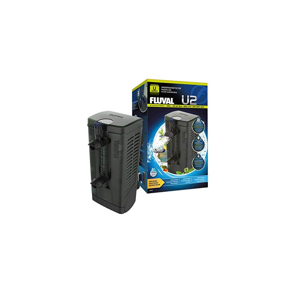 Neonfische: Haltung & Zucht des Neonsalmler im Aquarium