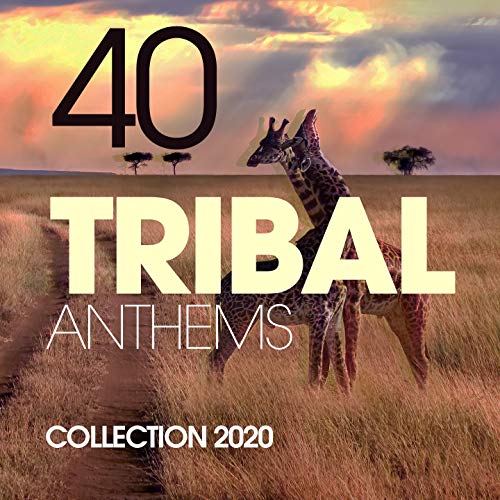 Amazon.com: 40 Tribal Anthems Collection 2020 : VARIOUS ARTISTS ...