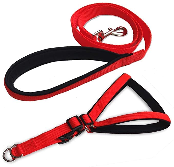 RvPaws Combo Dog Adjustable Chest Belt Padded Body Harness with Leash ...