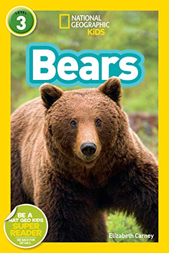 Top 25 Bear Children's Books For Kids - Kids Who Play