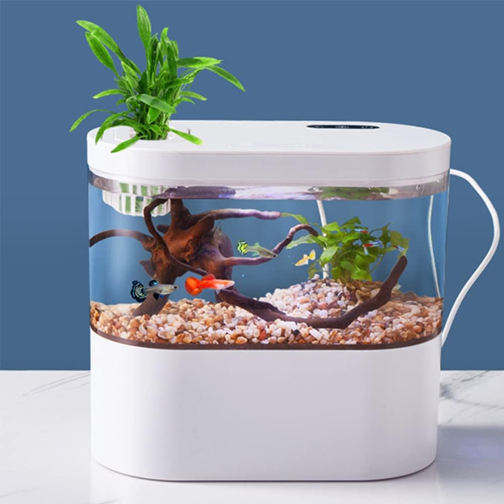 Amazon.com : Elive Betta Fish Bowl / Betta Fish Tank with Planter ...