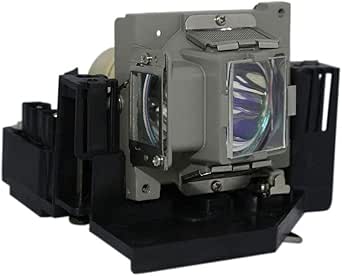 Amazon.com: Genuine Original BL-FP280A Replacement Projector Lamp Bulb ...