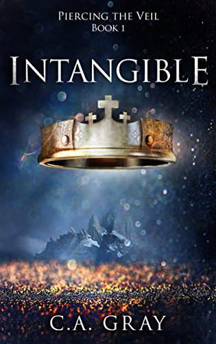Amazon | Intangible (Piercing the Veil Book 1) (English Edition ...