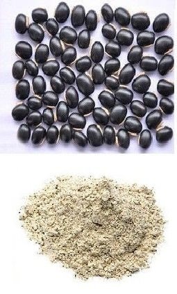 Buy INDVIK White kaunch Seed Powder Krounch Beej Powder - Kaunch Seed ...
