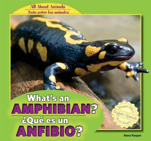 What's an Amphibian? / Que Es Un Anfibio? (All About Animals / Todo ...