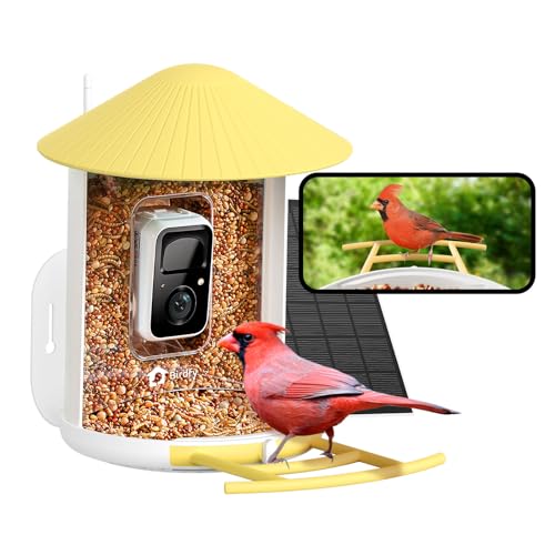NETVUE Birdfy® Smart Bird Feeder with Camera, Bird Watching Camera Auto ...