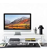 Amazon.com: ROCDEER Dual Monitor Stand Riser with Drawer for Desk ...