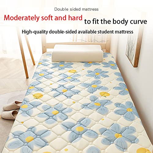 BAIHOGI Futon Matras-Japanse Futon, Dikker 5cm, Zachte Draagbare ...