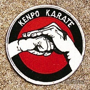 Amazon.com: Karate Kenpo The Flame Patch (4 Inch) Iron/Sew-on Badge ...