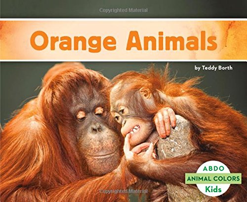 Orange Animals (Abdo Kids Animal Colors): Borth, Teddy: 9781496611987 ...