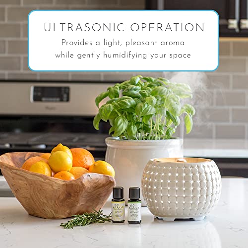 The 17 Best Ellia Diffusers of 2024 [Verified] - Cherry Picks