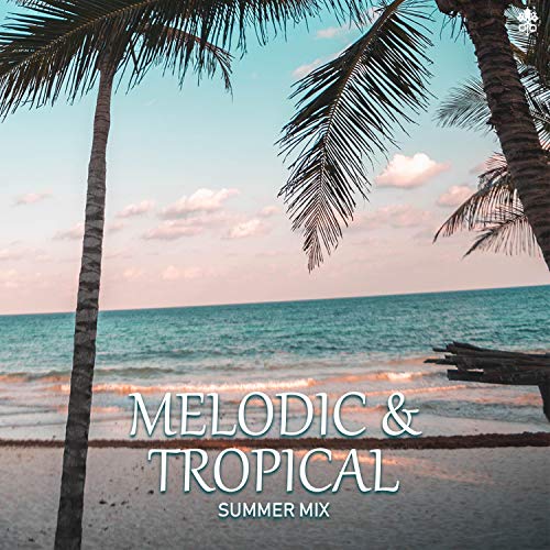 Play Melodic & Tropical Summer Mix by VARIOUS ARTISTS on Amazon Music