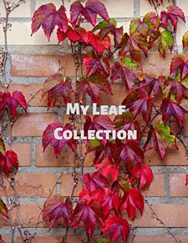 My Leaf Collection: Activity Book for Adults and Kids of All Ages in 8. ...