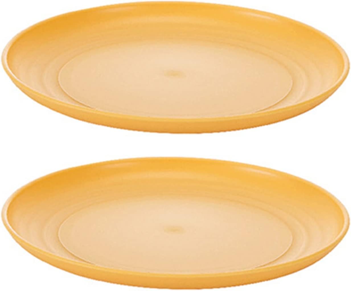 Amazon.com | Home Anti-slip Base Dinner Plate 2Pcs Dinner Plate ...