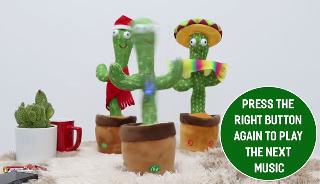Watch How to use dancing cactus on Amazon Live