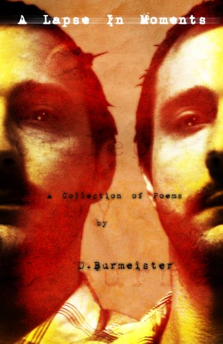 Amazon.com: A Lapse in Moments eBook : Burmeister, Dustin, Riddle, Ryan ...