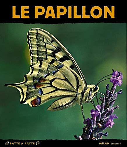 Le papillon : Tracqui, Valérie, Lorne, Patrick: Amazon.es: Libros