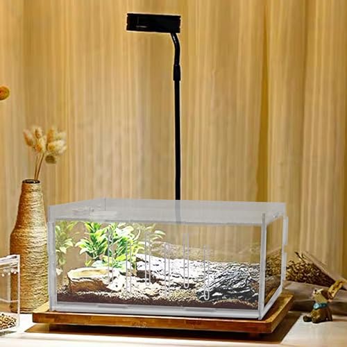 Snapklik.com : Winemana Small Reptile Jumping Spider Terrarium ...