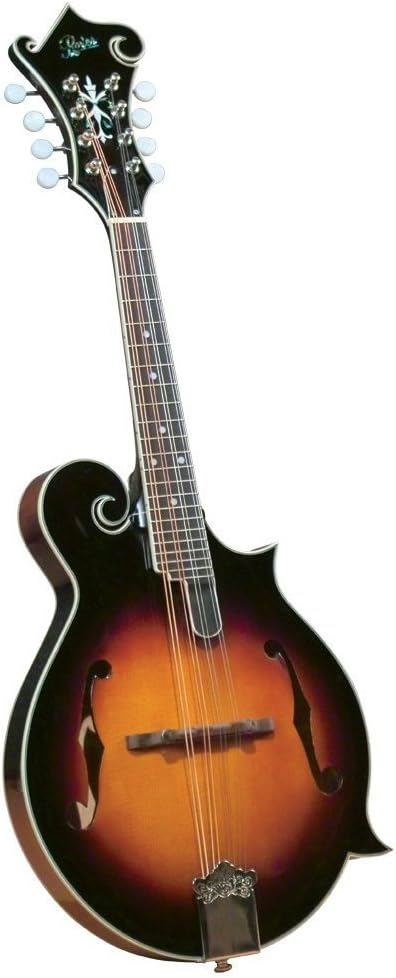 Amazon.com: Rover RM-75 Deluxe Student F-model Mandolin - Sunburst ...