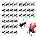 Ant Party Picks | The Green Head