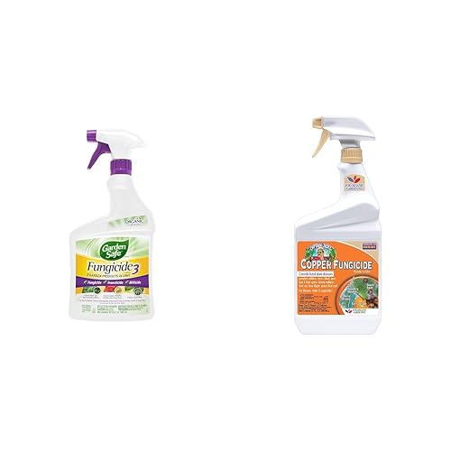 Daconil Fungicide for Roses: Keeping Your Garden Healthy and Beautiful ...
