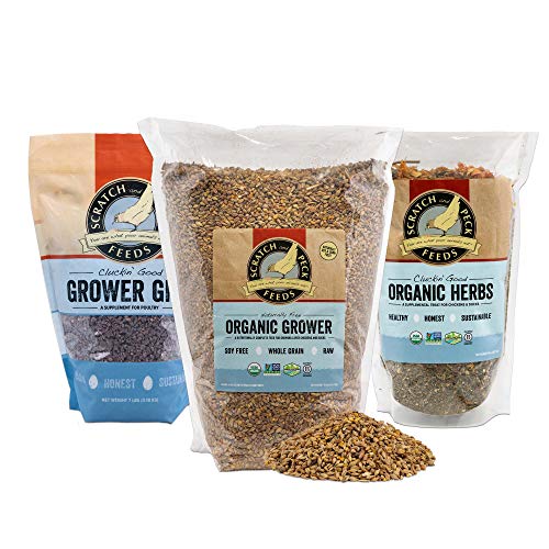 Revolutionize Your Flock's Diet: Top 10 Organic Chicken Feeds without ...