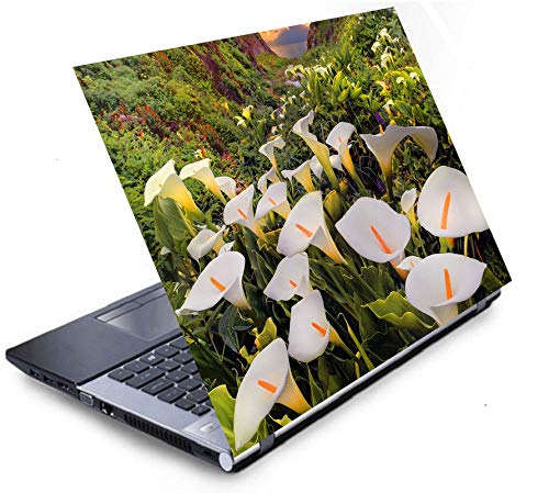Dhanistha Laptop Sticker 14 - inchs - No Residue - Bubble Free ...