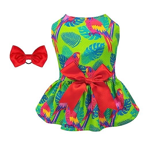 Find The Best Watch Dogs Dedsec Outfit Reviews & Comparison - Katynel