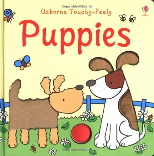 The Usborne Big Touchy Feely Book of Puppies (Touchy-Feely Board Books ...