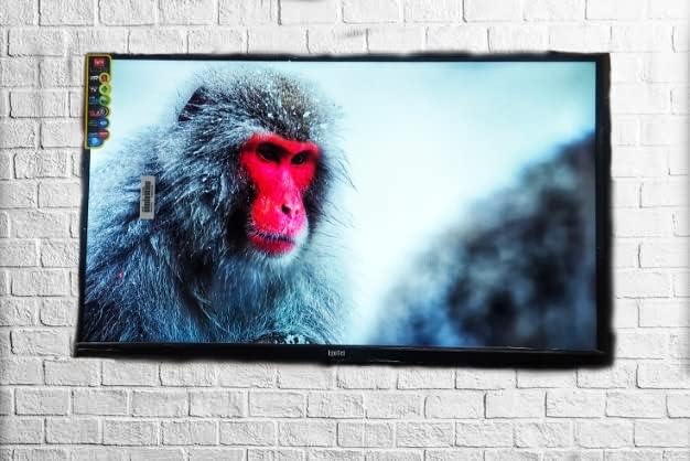 Egote HD Ready Smart A+ LED TV (32) Warranty —2 Years. : Amazon.in ...