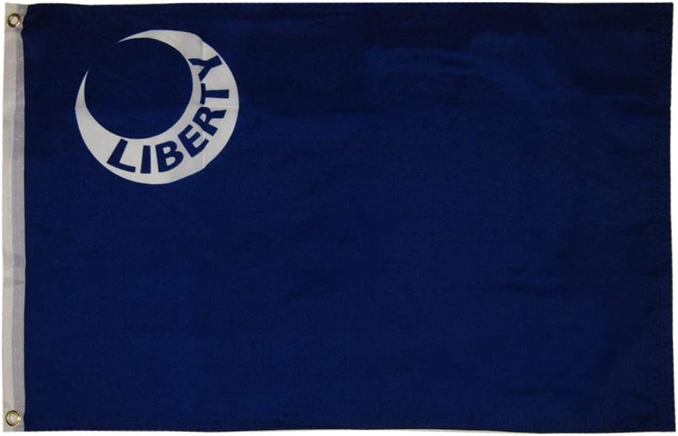 Amazon.com : 3X5 Fort Moultrie Liberty Flag Colonial American Banner ...