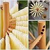 Amazon.com: Collapsible Pasta Drying Rack, Wood Pasta Dryer Rack,Large ...