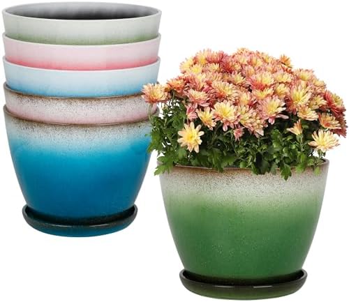 Amazon.com : Worth Garden Plastic Round 8" Plant Pots for Indoor Plants ...