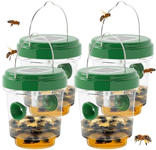 Best Paper Wasp Trap Solutions for Outdoor Spaces – Whistle Stop Gardens