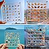 Amazon.com - Generic Sea Shell Display Cases, Seashell Box, Seashell ...