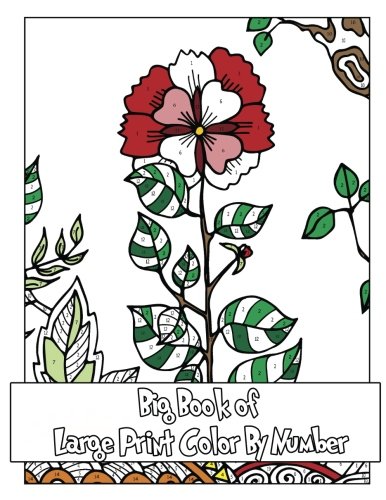 Amazon.com: Big Book of Large Print Color By Number (Premium Adult ...