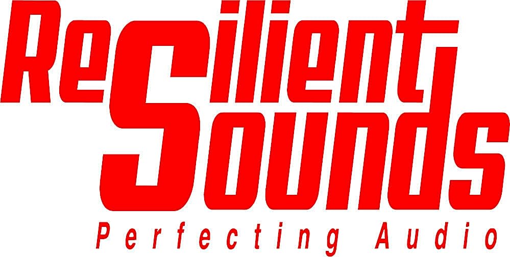 Amazon.com: RESILIENT SOUNDS AUDIO CAR DIE CUT VINYL TRUCK WINDOW ...