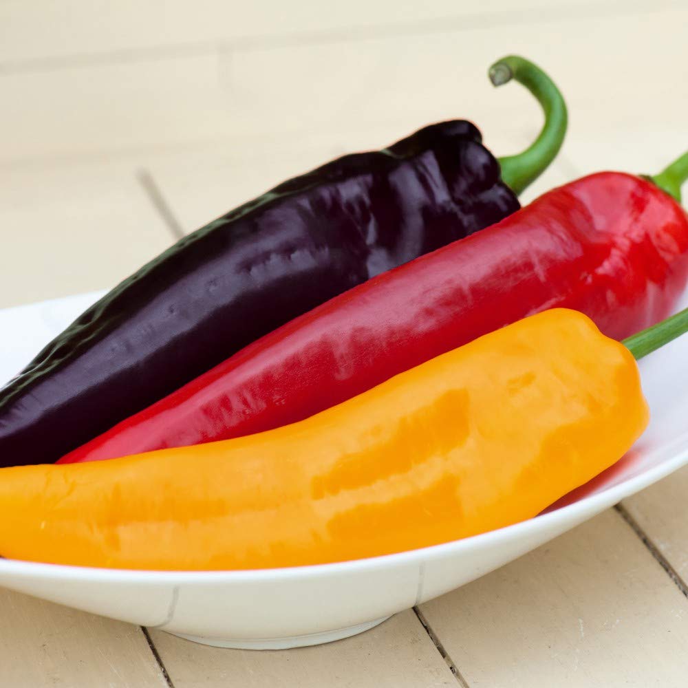 Sweet Pepper 'Tasty Mix All Season' Bell Pepper Half-Hardy Annual ...