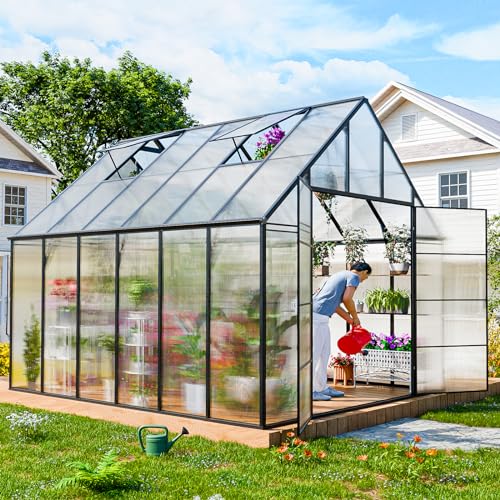 Best Large Greenhouse Kits: A Comprehensive Guide for Your Garden ...