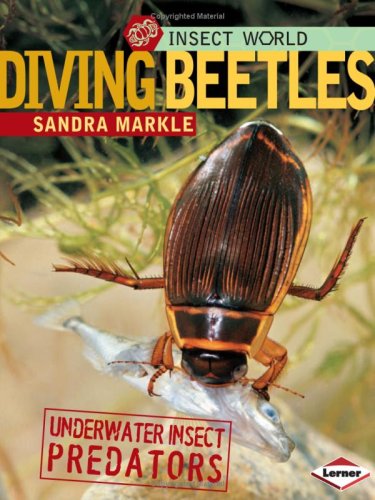 Amazon | Diving Beetles (Insect World) | Markle, Sandra | Bugs & Spiders