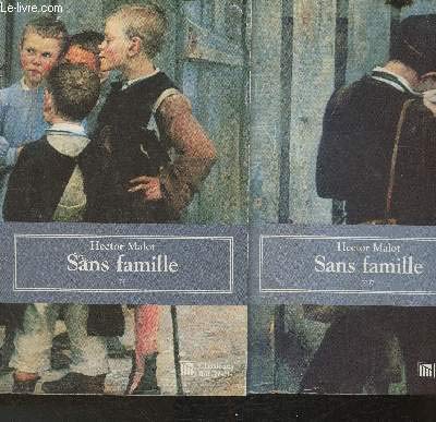 Amazon.com: Sans Famille (French Edition): 9782845950382: Hector Malot ...