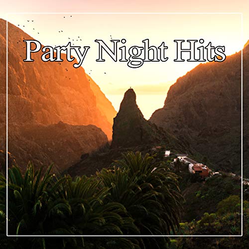 Amazon.com: Party Night Hits - Chillout Hits for Party, Summer Vibes ...