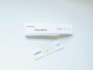 Unveiling The Appearance Of Aspergillus: Understanding What It Looks ...