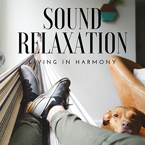Amazon.com: Sound Relaxation - Living in Harmony, Meditation Exercises ...