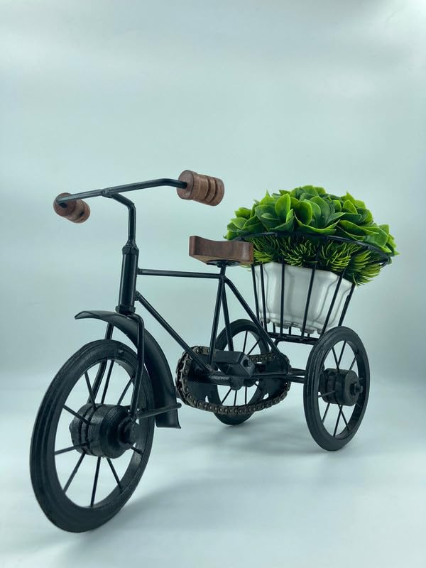 Febwell Iron Wrought Miniature Rickshaw with Plant Basket Showpiece ...