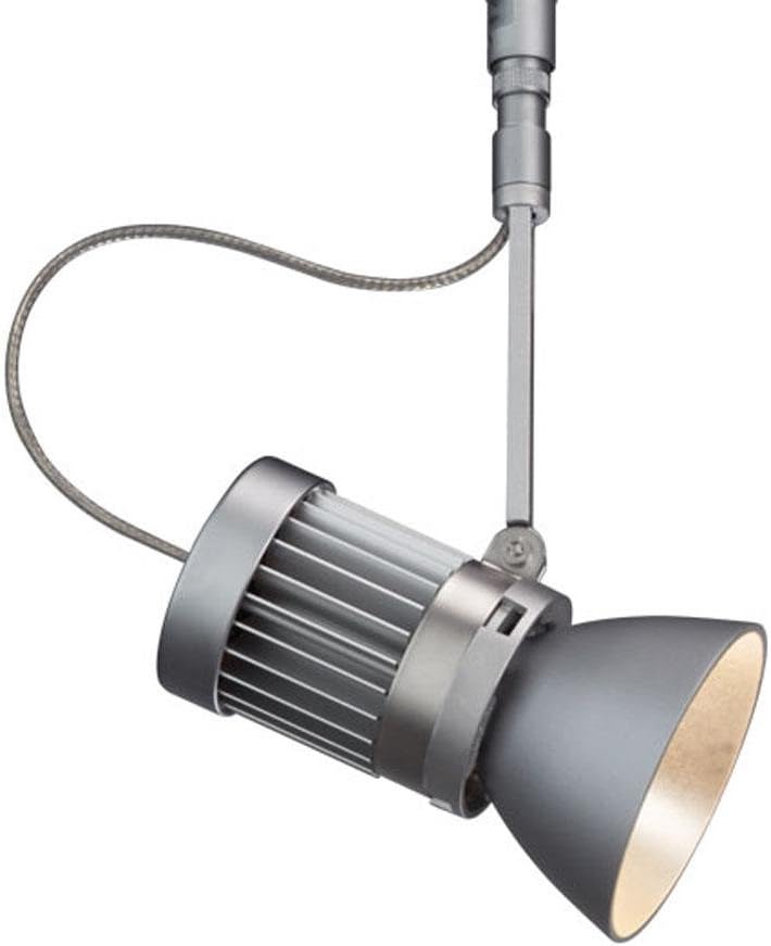 Ledra Chroma One Light Spot Light Lens Degree: 20 - Directional ...