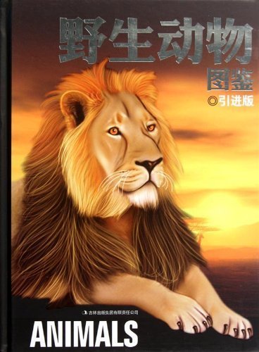 Amazon.com: Wild Animals (Chinese Edition): 9787546345055: Ben She: Books
