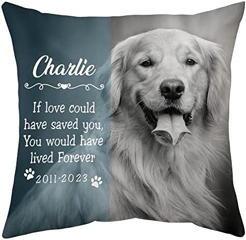Amazon.com: Hyturtle Personalized Memorial Sympathy Pillow (Insert ...