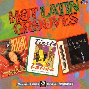 Hot Latin Grooves: Various: Amazon.in: Music}